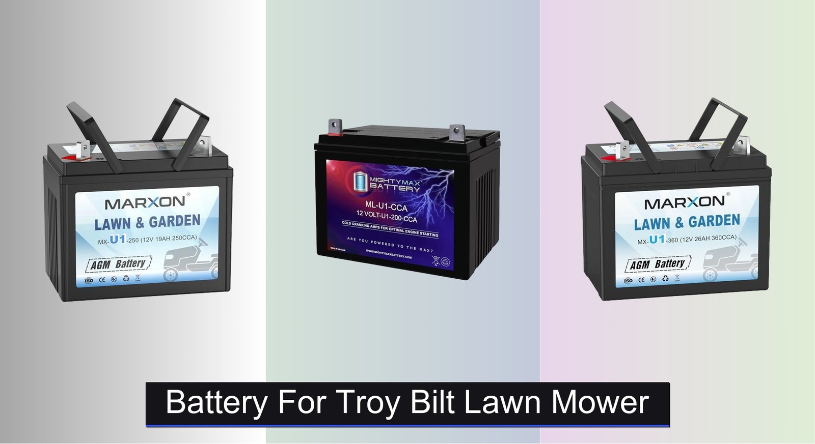Troy Bilt Riding Lawn Mower Battery